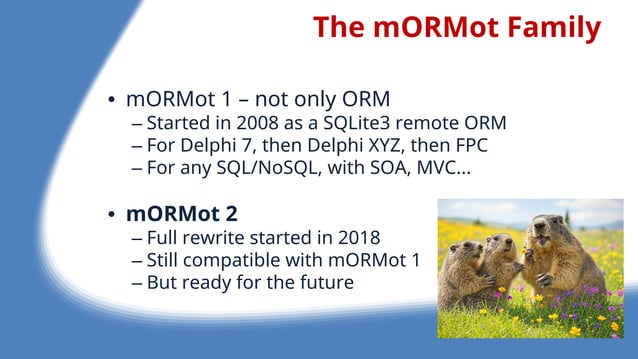 mORMot 2 - Pascal Cafe 2025 in Nederlands | PDF