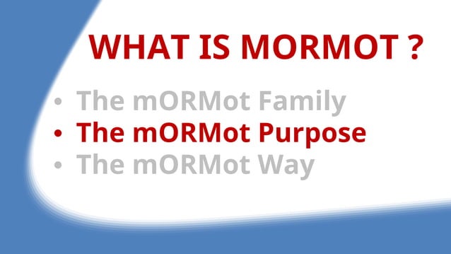 mORMot 2 - Pascal Cafe 2025 in Nederlands | PDF