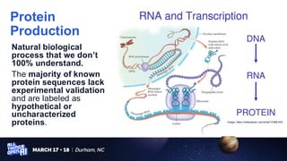 Leveraging Pre-Trained Transformer Models for Protein Function ...