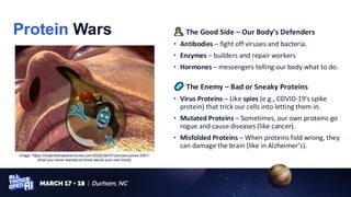 Leveraging Pre-Trained Transformer Models for Protein Function ...