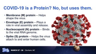 Leveraging Pre-Trained Transformer Models for Protein Function ...
