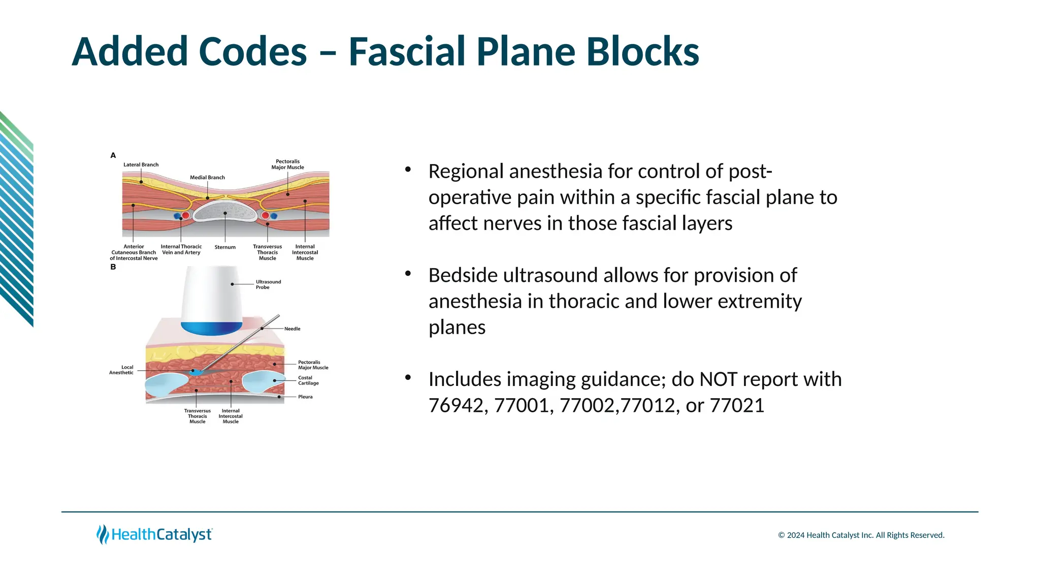 2025 CPT® Code Updates ( HIM Focused ) | PPTX