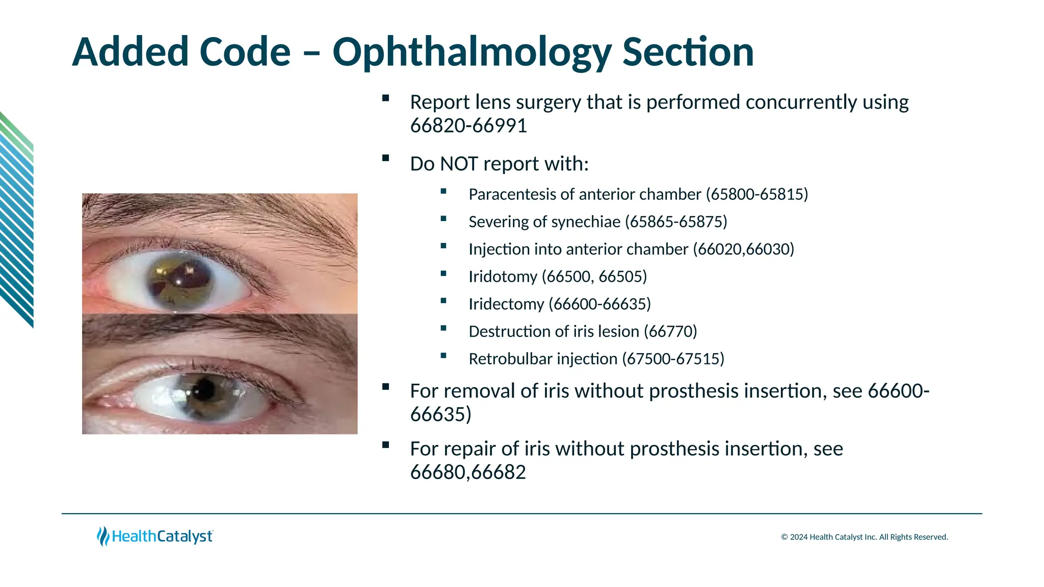 2025 CPT® Code Updates ( HIM Focused ) | PPTX