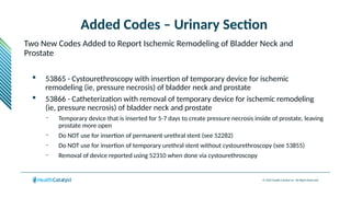 2025 CPT® Code Updates ( HIM Focused ) | PPTX