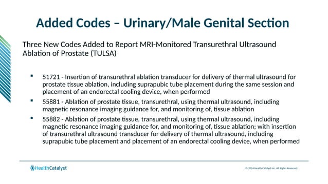 2025 CPT® Code Updates ( HIM Focused ) | PPTX
