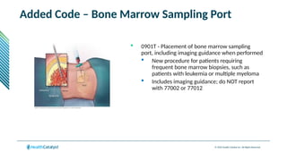 2025 CPT® Code Updates ( HIM Focused ) | PPTX