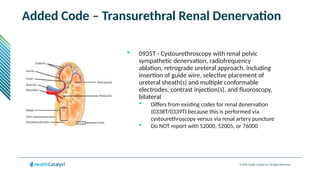 2025 CPT® Code Updates ( HIM Focused ) | PPTX