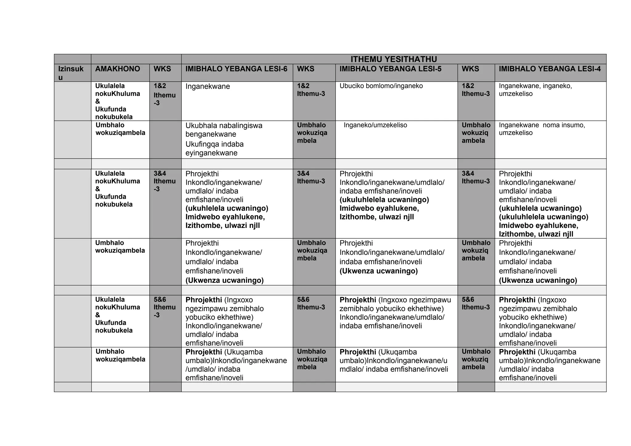 2025 ISIZULU HL INTERMEDIATE PHASE MULTIGRADING CLASSROOMS SUPPORT ...
