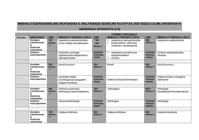 2025 ISIZULU HL INTERMEDIATE PHASE MULTIGRADING CLASSROOMS SUPPORT ...