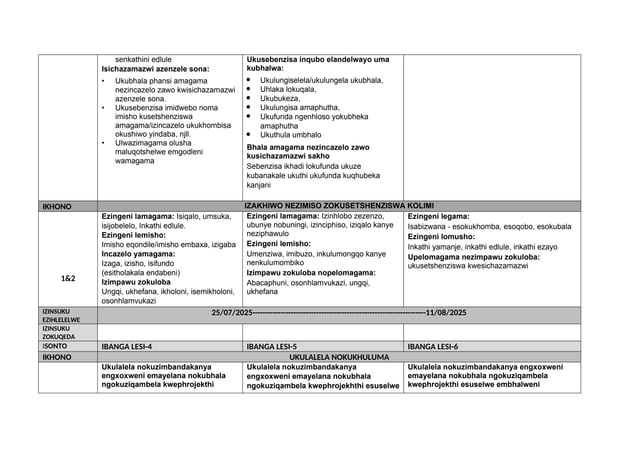 2025 ISIZULU HL INTERMEDIATE PHASE MULTIGRADING CLASSROOMS SUPPORT ...