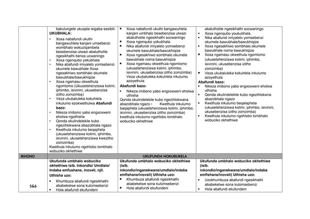2025 ISIZULU HL INTERMEDIATE PHASE MULTIGRADING CLASSROOMS SUPPORT ...