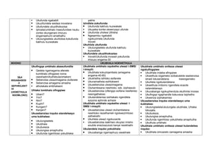 2025 ISIZULU HL INTERMEDIATE PHASE MULTIGRADING CLASSROOMS SUPPORT ...