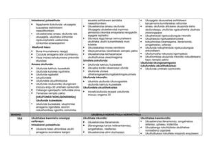 2025 ISIZULU HL INTERMEDIATE PHASE MULTIGRADING CLASSROOMS SUPPORT ...