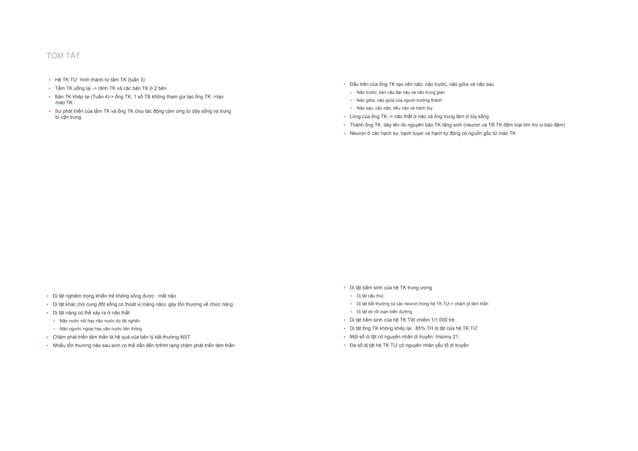 2025 MODULE THẦN KINH _HÀNH VI NTT.pdf