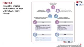 ESC Guidelines management of valvular heart disease 2025 Mitral Aortic ...