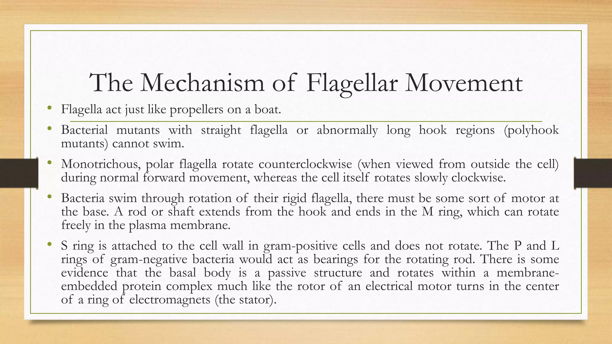 Flagella- Size, Shape, Arrangement | PPTX