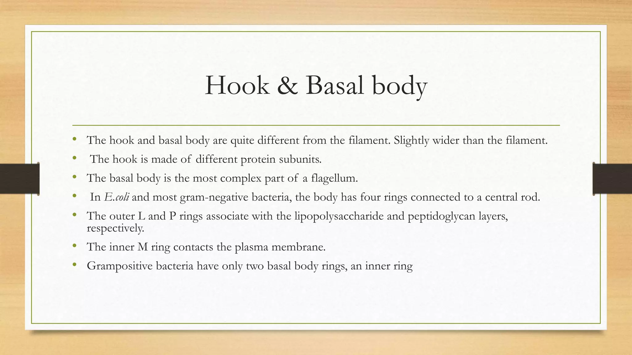 Flagella- Size, Shape, Arrangement | PPTX