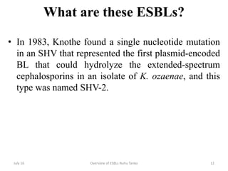 LECTURES SERIES ESBLs | PPTX