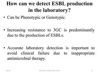 LECTURES SERIES ESBLs | PPTX