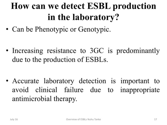 LECTURES SERIES ESBLs | PPTX