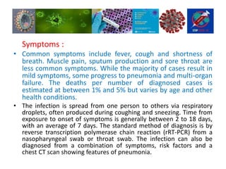 2030 AGENDA FOR SDG PYRAMID | PPTX