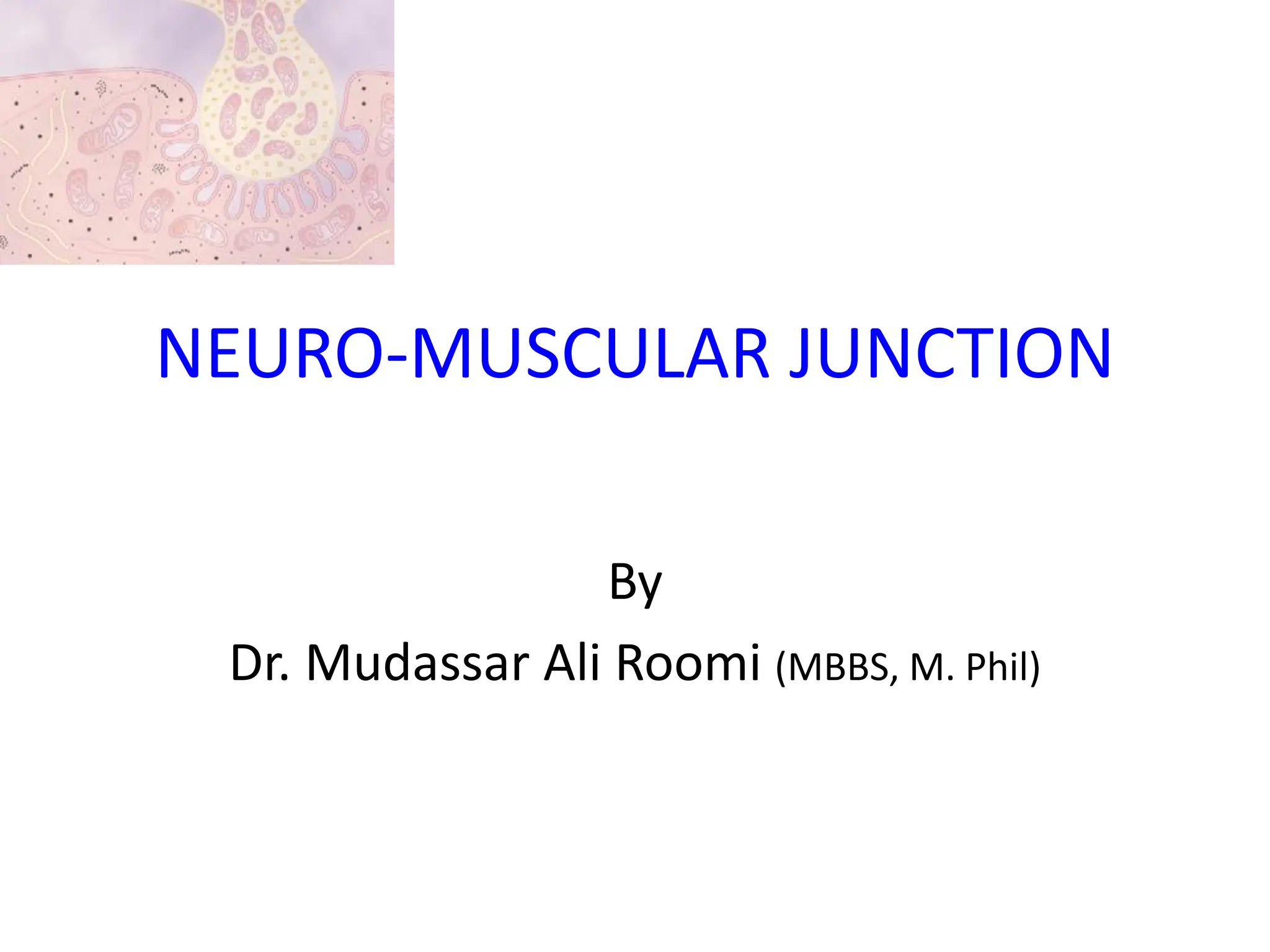 203371628-Lecture-on-the-Physiology-of-Neuromuscular-Junction-NMJ-by-Dr-Roomi.pdf