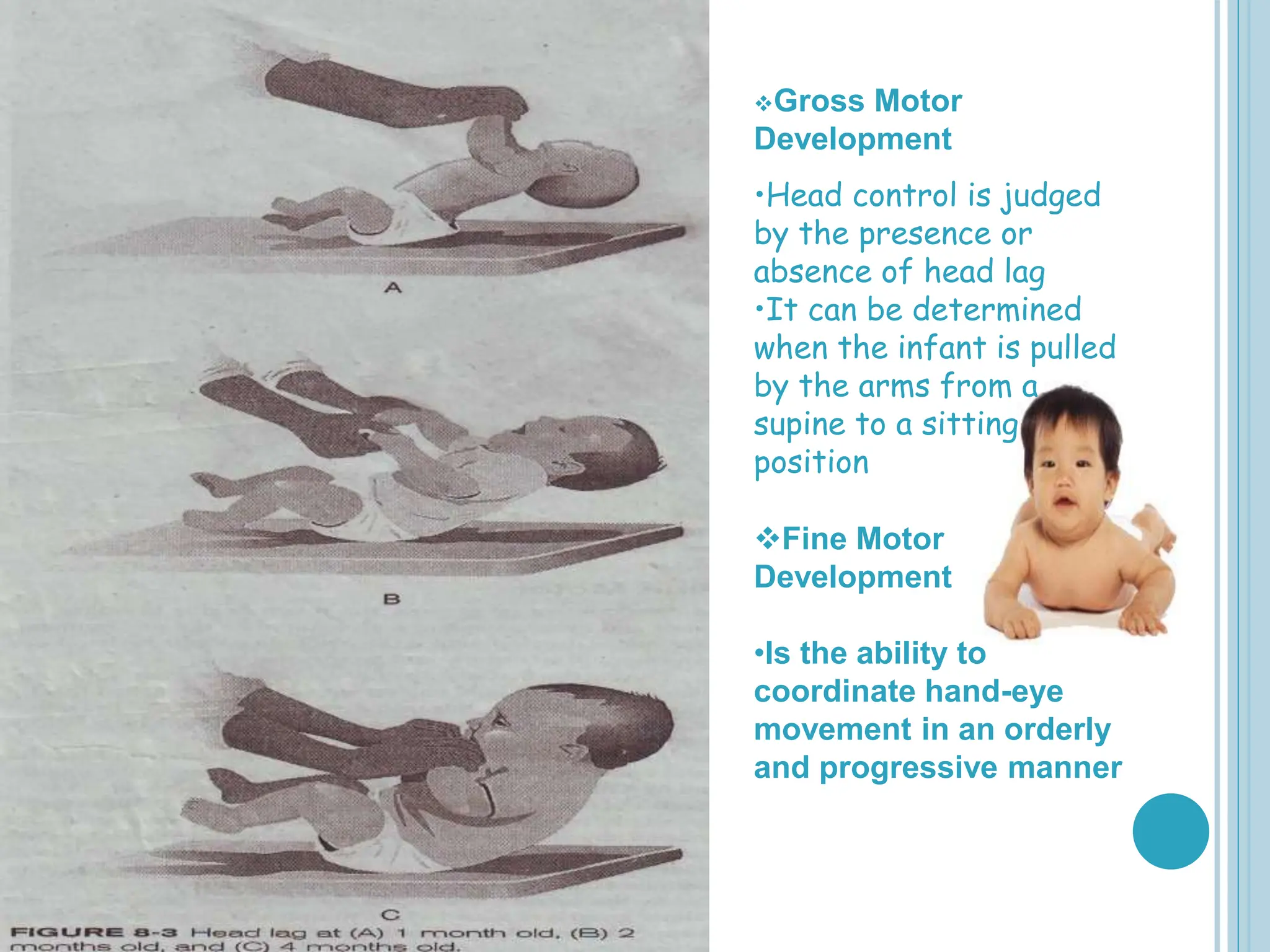 Growth and development of Infancy growth and development of infants ppt.ppt
