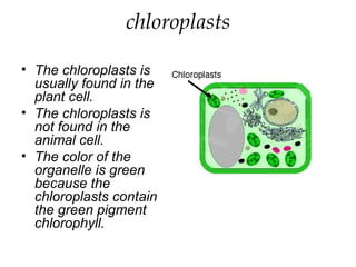 2 03 cell structure and function | PPT