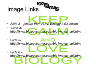 2 03 cell structure and function | PPT