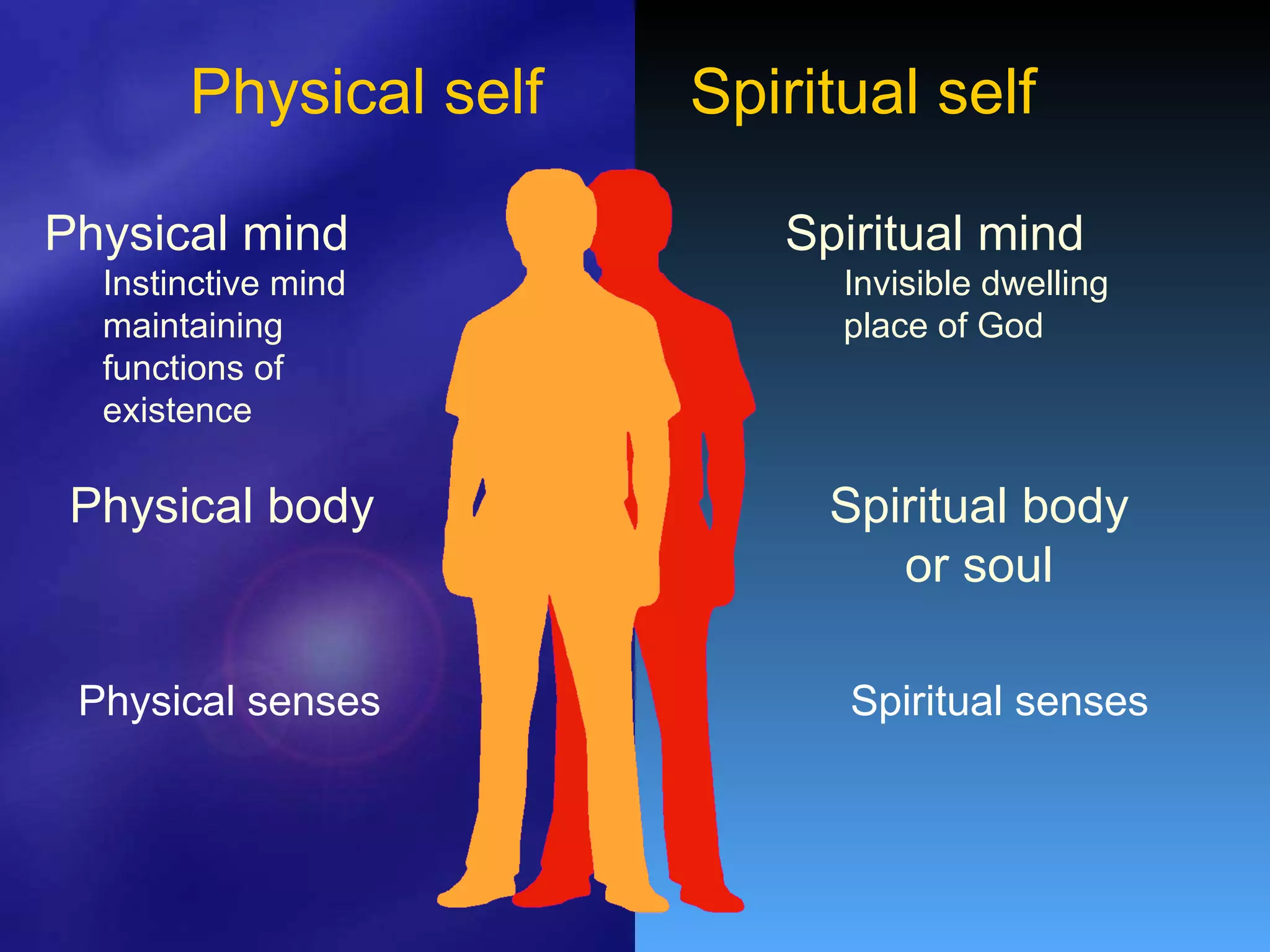 203 Principle of creation part 3 WH | PPT