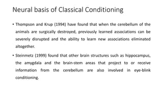 2040533897Classical Conditioning presentation.pptx