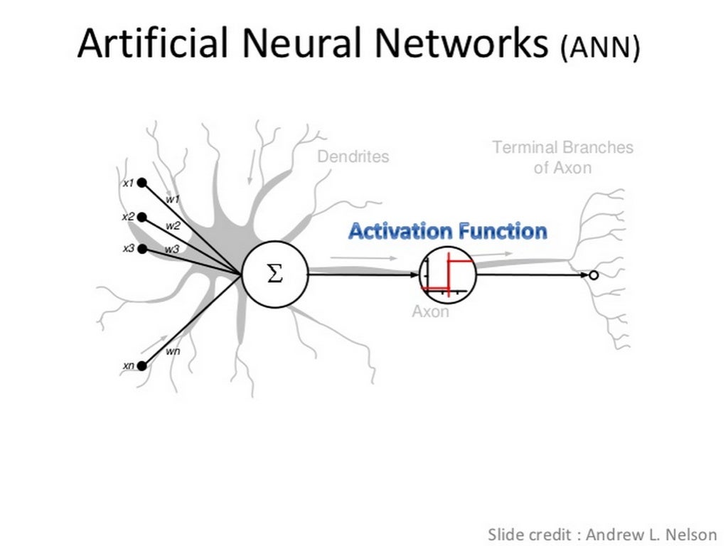 Deep Learning: a birds eye view