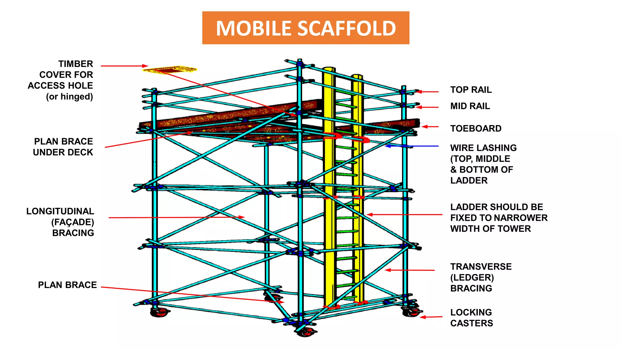 Scaffold | PPTX
