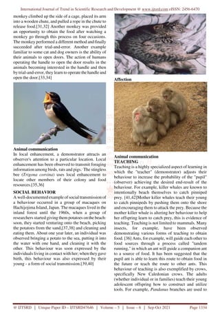 A Report on Animal Behaviour Ethology | PDF