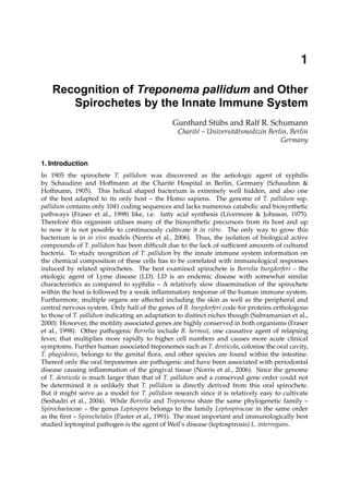 Syphilis Recognition Description And Diagnosis N Sato | PDF