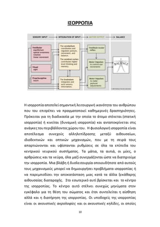 συστημα ισορροπιας | PDF