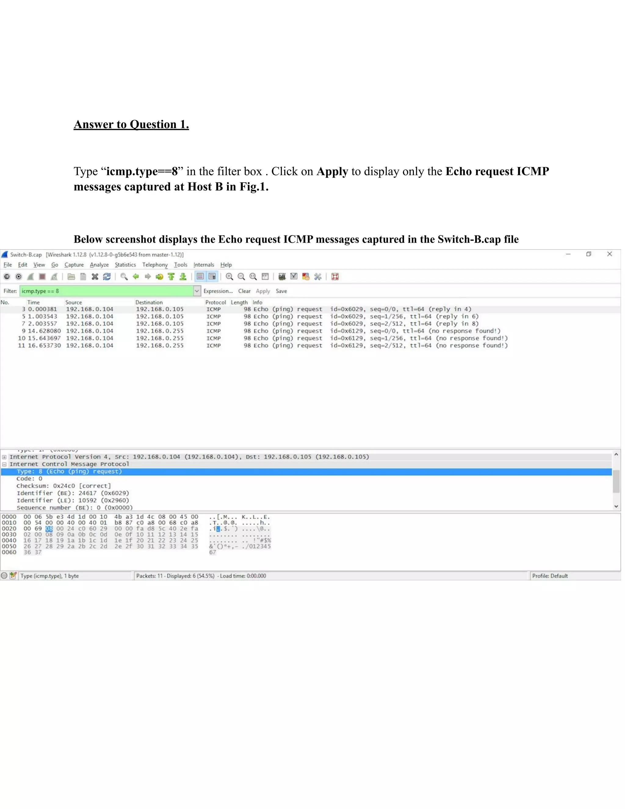 Assignment_Wireshark | PDF