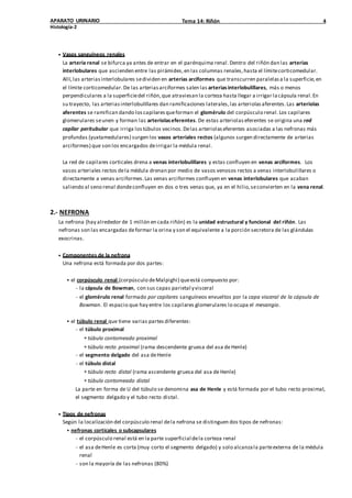histologia urinario | DOCX