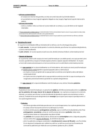 histologia urinario | DOCX