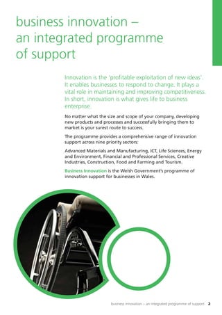 Business Innovation - Eng | PDF | Small and Medium-sized Business ...