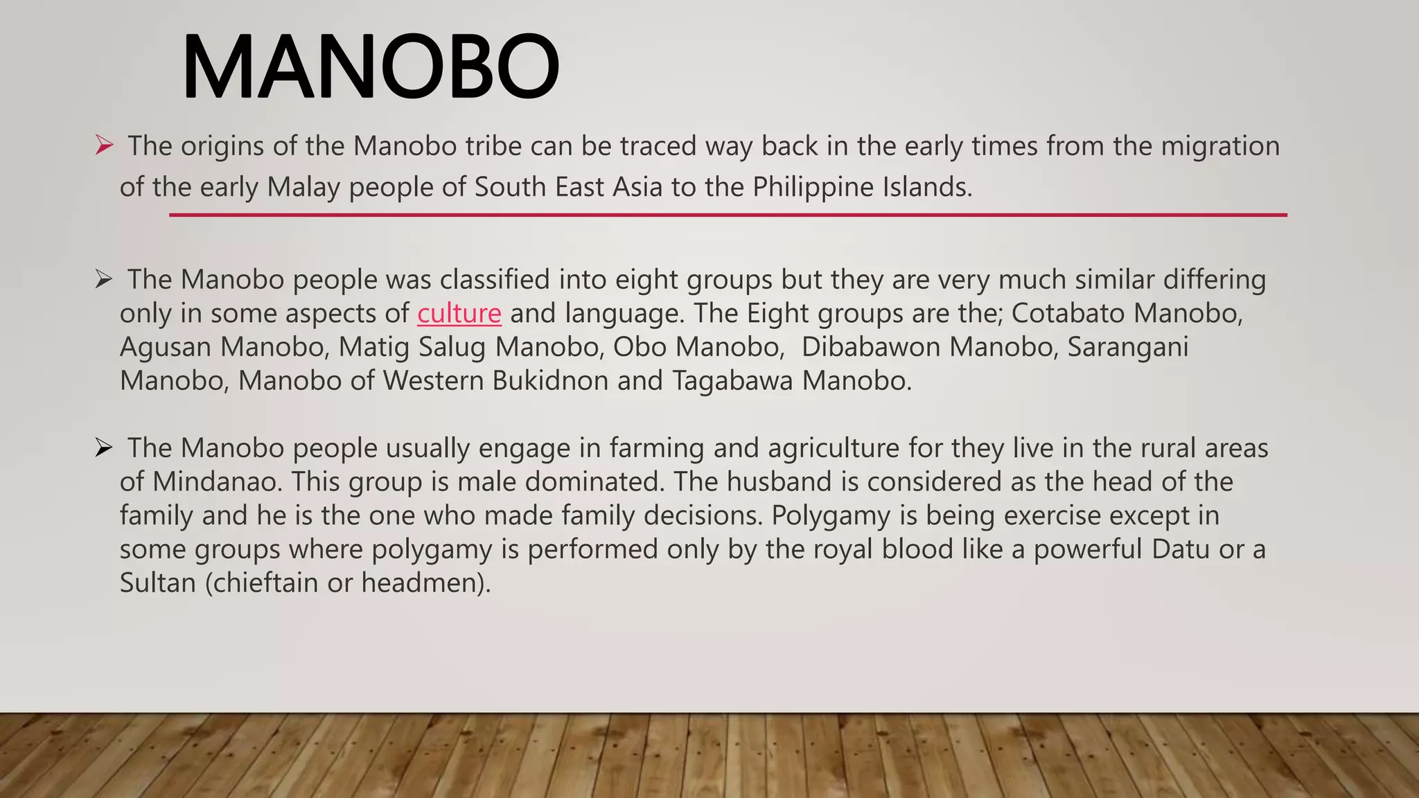 INDIGENOUS-TRIBE-OF-CENTRAL-MINDANAO.pptx