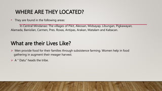 INDIGENOUS-TRIBE-OF-CENTRAL-MINDANAO.pptx
