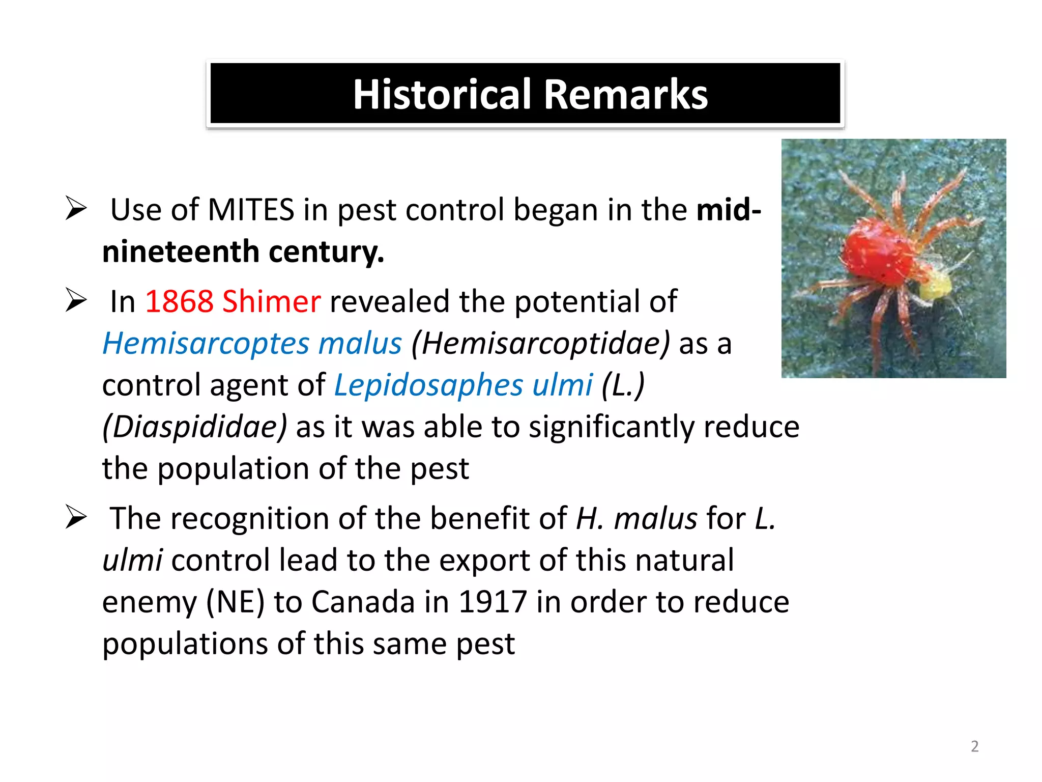 Predatory Mites | PPTX
