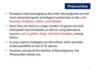 Predatory Mites | PPTX