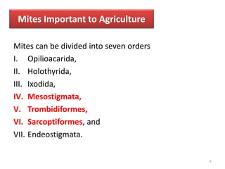 Predatory Mites | PPTX