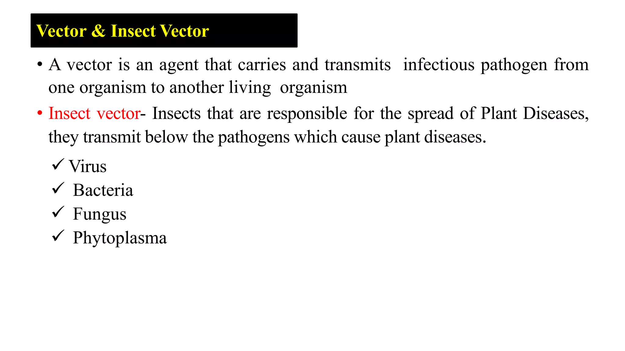 Insect vector transmitted plant diseases | PPTX