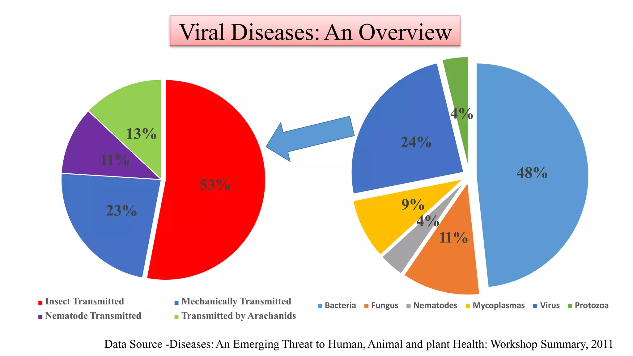 Insect vector transmitted plant diseases | PPTX