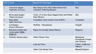 Insect vector transmitted plant diseases | PPTX