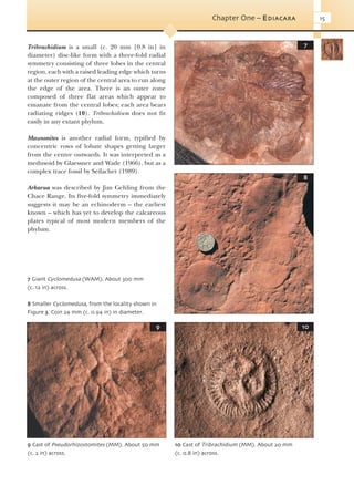 Evolution Of Fossil Ecosystems Paul Selden John Nudds | PDF