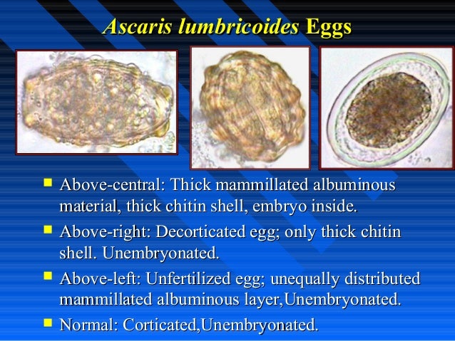 medical-parasitology-power-point-lab8 part2
